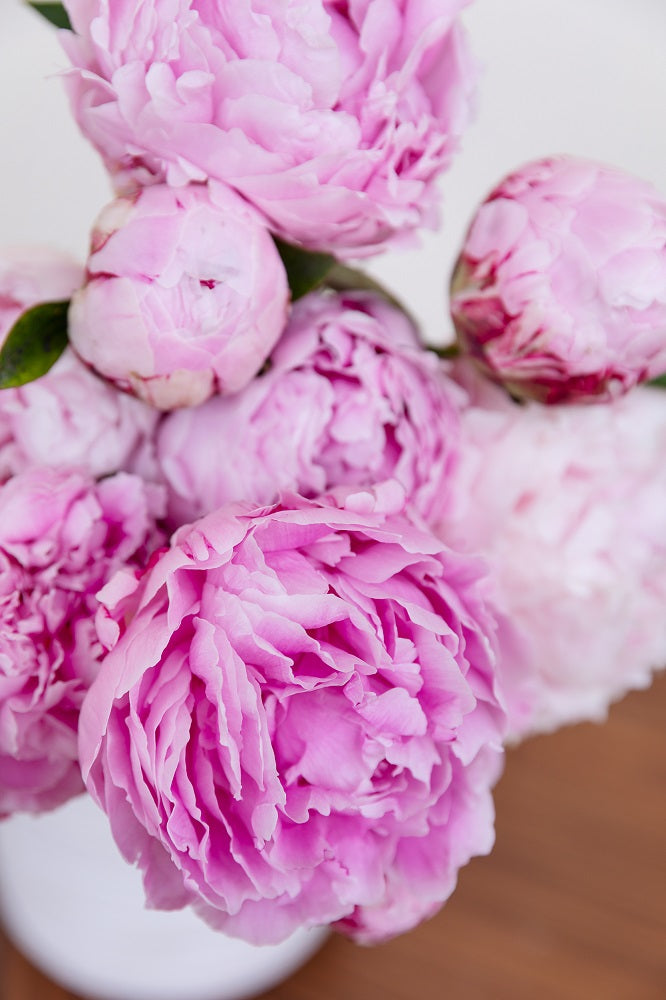 Conoce los ramos de peonías de esta temporada – Colvin