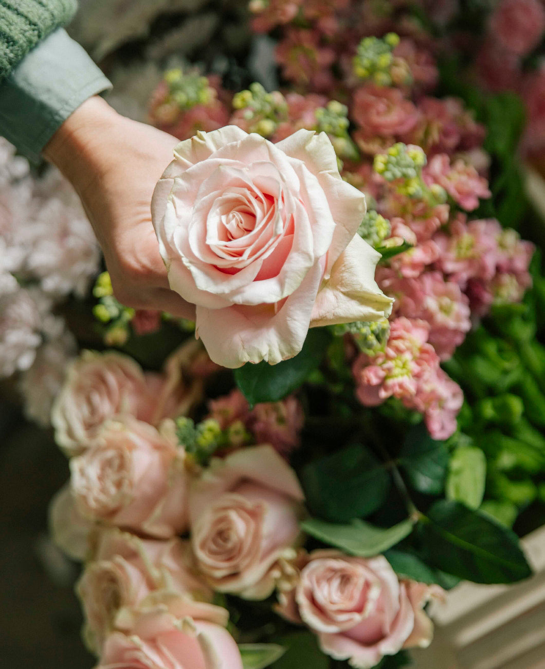 Flores a domicilio – Colvin