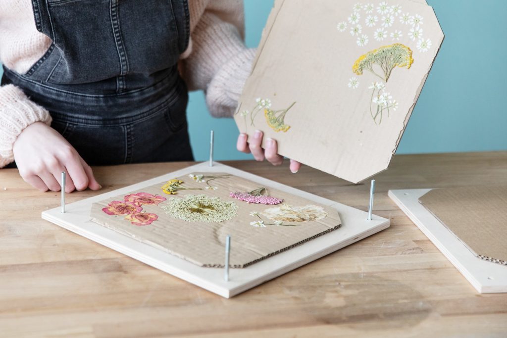 Prensar flores: aprende a hacerlo paso a paso | Blog Colvin