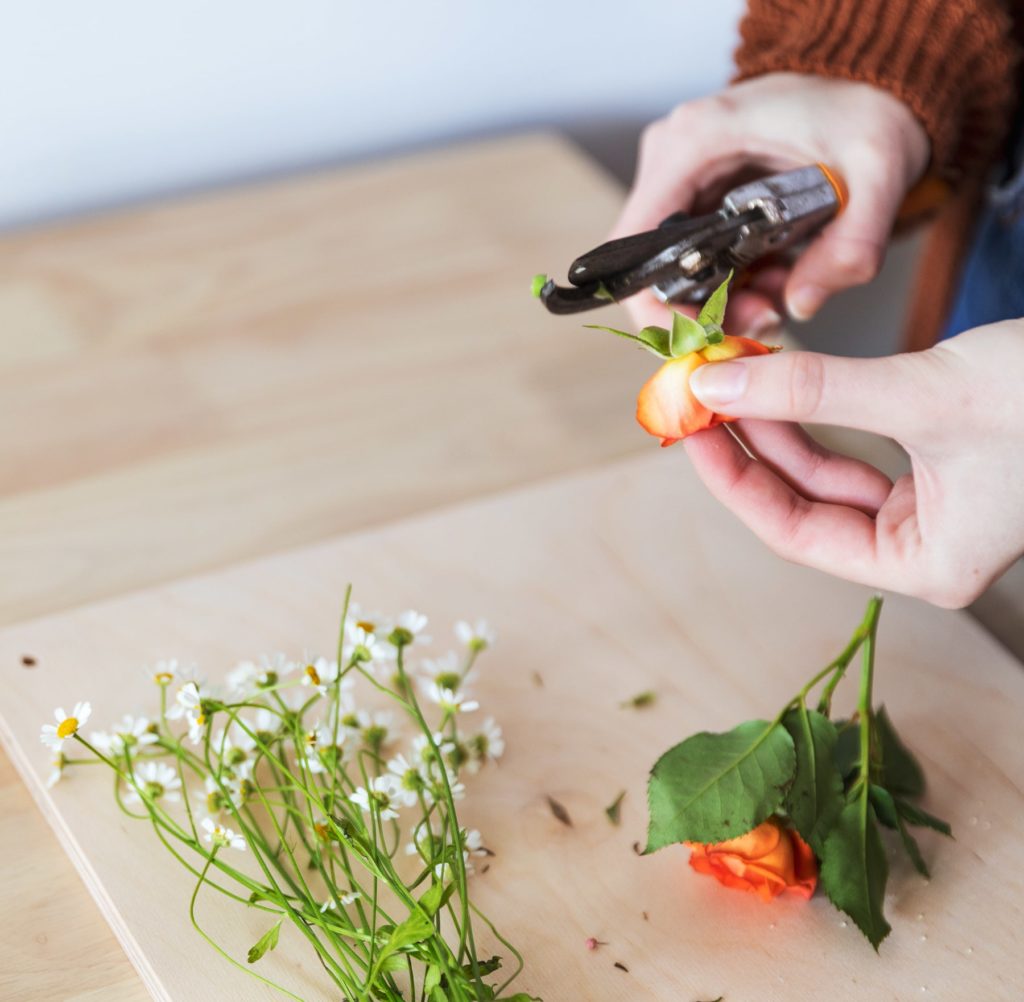 Prensar flores: aprende a hacerlo paso a paso | Blog Colvin