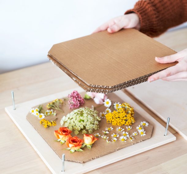 Prensar flores: aprende a hacerlo paso a paso | Blog Colvin