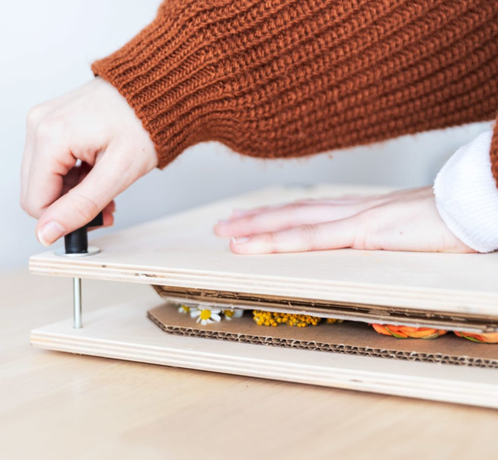 Prensar flores: aprende a hacerlo paso a paso | Blog Colvin